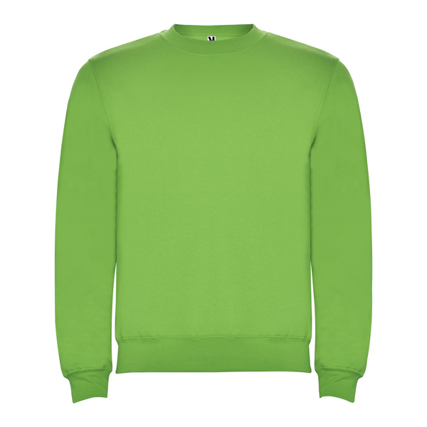 roly_clasica_21-oasis-green - Boostup